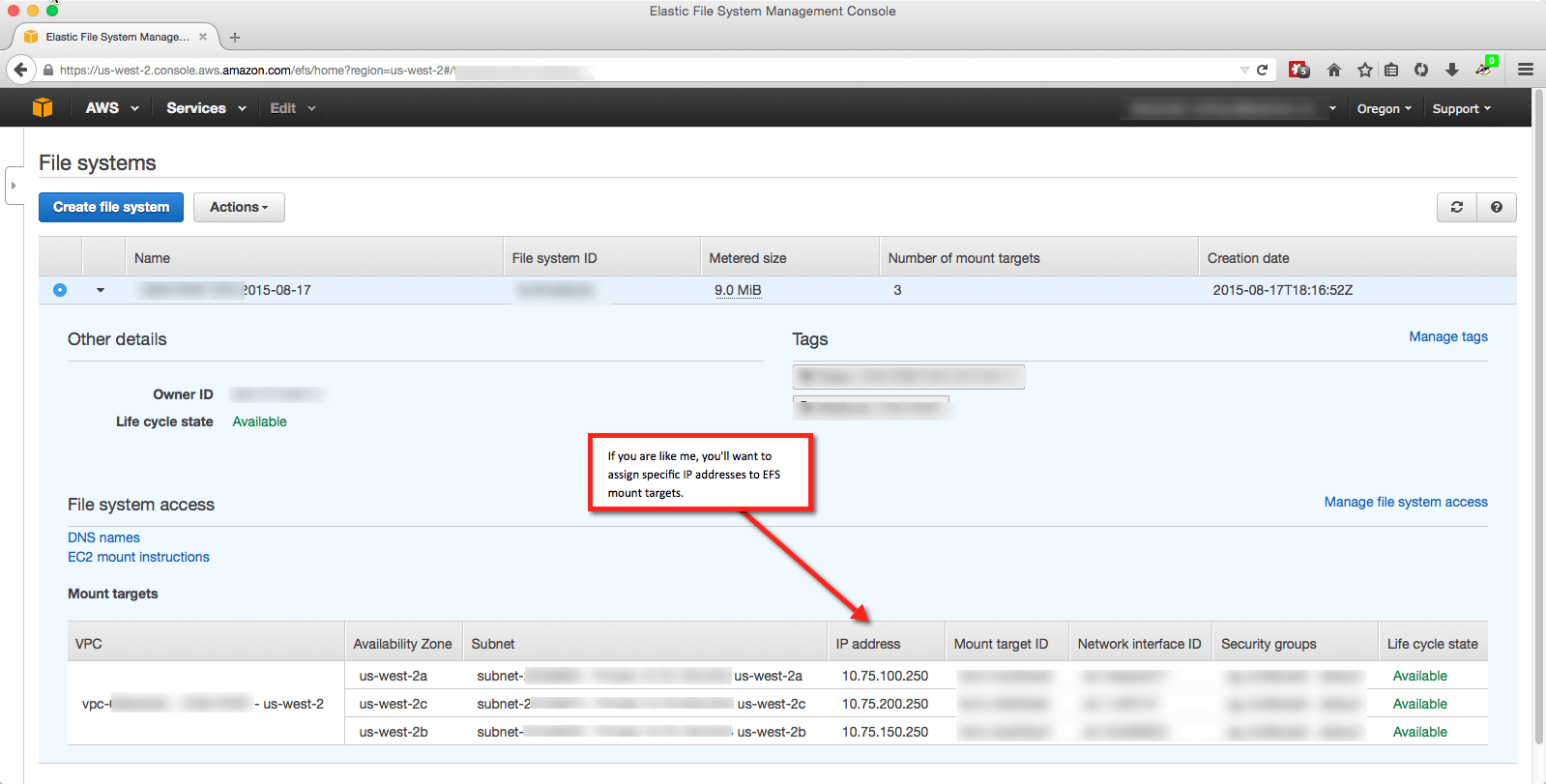 Elastic File System mount targets and DNS | Thinking aloud