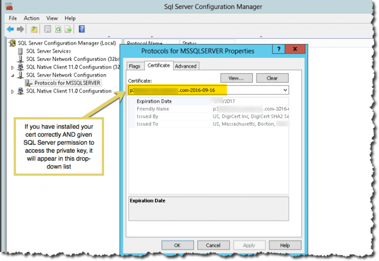 Thinking aloud | How to install SQL Server and SSRS SSL certificates